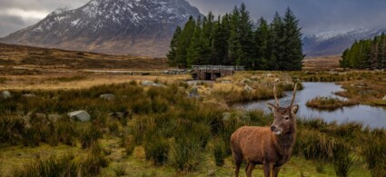 Glencoe - Cosa vedere e come arrivare